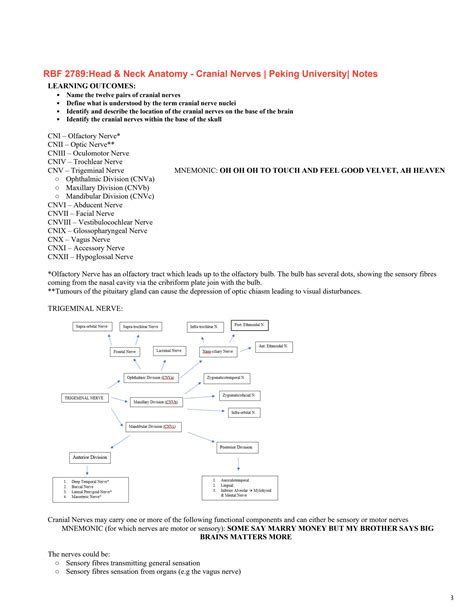 Solution Head Neck Anatomy Cranial Nerves Summary Lecture Notes