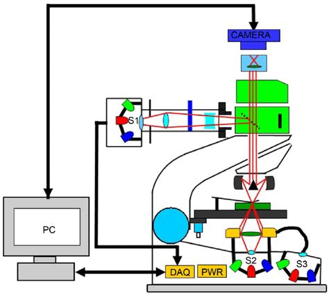 Multimodal And Multispectral Microscope Setup S1 S2 And S3 Are A Set Download Scientific