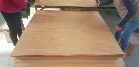 Alestaua We Are A Rotary Cut Wood Veneer Producing Company Rotary