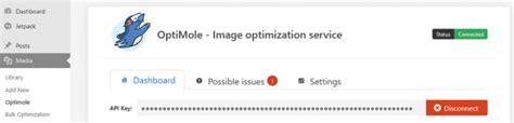 How To Serve WebP Images Instead Of Or PNG With WordPress
