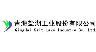 盐湖股份 正极材料 锂电材料 锂电品牌 锂电世界