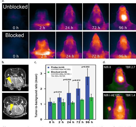 Figure 1 From Molecular Targeted Nir Ii Probe For Image Guided Brain