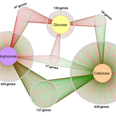 Gene Regulatory Network Grn Of 1184 Differentially Expressed Genes