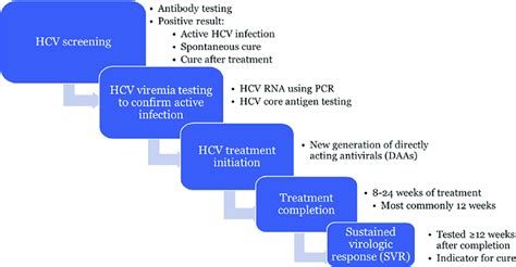 Steps Of Hepatitis C Care Cascade In Georgian Hepatitis C Elimination