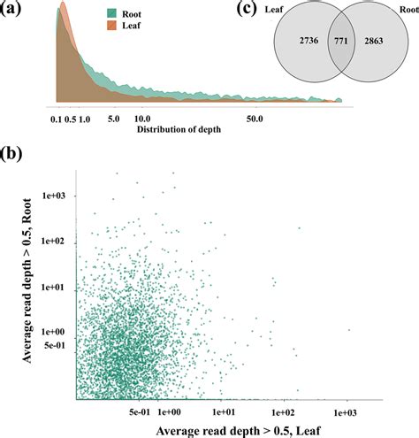 Distribution Of Sequencing Depth Among Reads A Similar Univariate Download Scientific