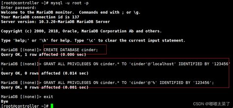 【openstack Train安装】十二、cinder安装 Csdn博客