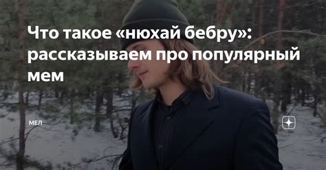 Что такое нюхай бебру рассказываем про популярный мем Мел Дзен