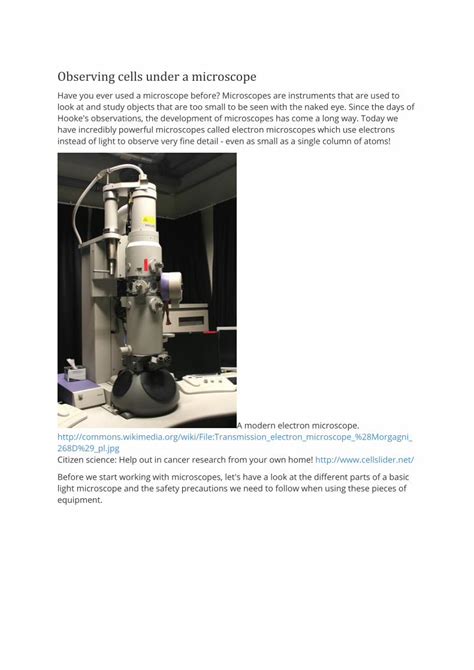Pdf Observing Cells Under A Microscope Dokumen Tips