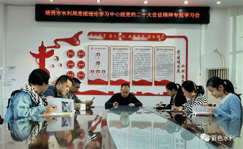 靖西市水利局党组传达学习党的二十大精神习近平会议党中央