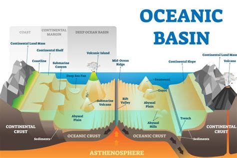 Mengenal Palung Laut Pengertian Proses Pembentukan Dan Habitatnya