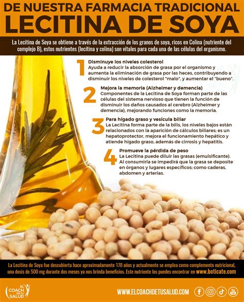 Por Qué Tomar Lecitina De Soya El Coach De Tu Salud