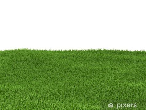 Wall Mural Green Grass Background 3d Render Pixers