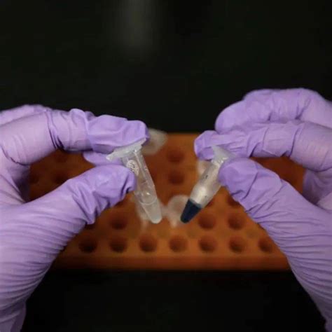 中国科学家用二氧化碳合成人工淀粉，粮食生产有了全新路径 研究