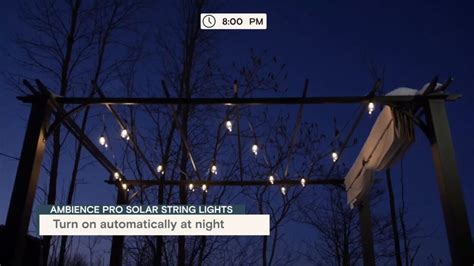 Best Solar String Lights For Your Backyard And Garden Review