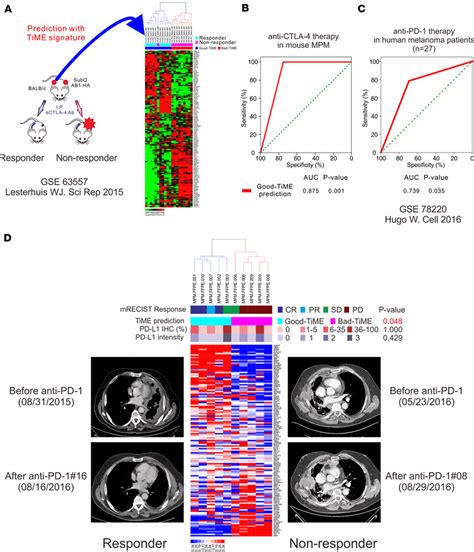 The Time Signature To Predict Response To Immune Checkpoint Inhibitors