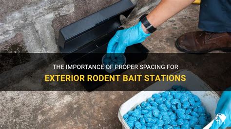 The Importance Of Proper Spacing For Exterior Rodent Bait Stations