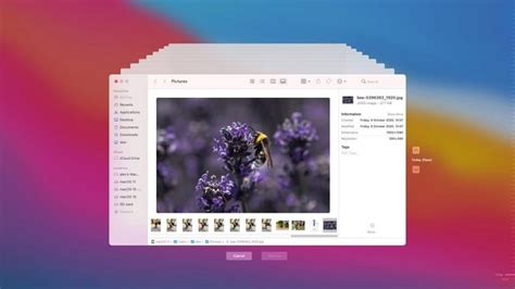 【solved】5 Ways To Recover Lostmissing Files After Macos Sequoiasonoma