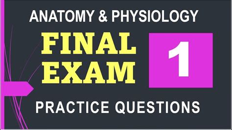 Anatomy & Physiology Final Exam Practice Questions Part 1 - YouTube