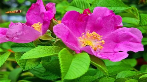 한강에서 부르는 무반주 찬양 하나님이 세상을 이처럼 사랑하사 찬양 커버 모음 God So Loved The World Cover Praise Youtube