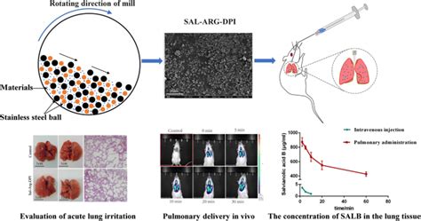 Drug Delivery And Translational Research X Mol