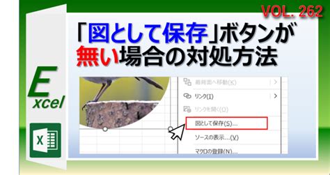 グラフ・図形・画像 Excelの森