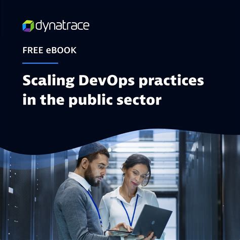 Learn About Challenges Devops Leaders Across Public Sector