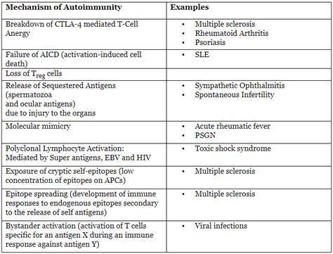 Immunological Tolerance Autoimmunity Medical Science Optional Notes
