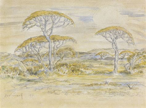Bid Now J H Pierneef Sa 1886 1957 Watercolour Acacias In A