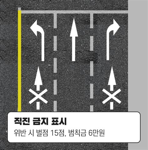 직진 및 우회전 가능 차로 규정경적 또는 상향등 금지 자동차 에펨코리아