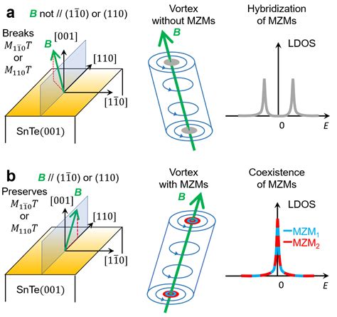 Hkust And Sjtu Physics Researchers Identify New Multiple Majorana Zero
