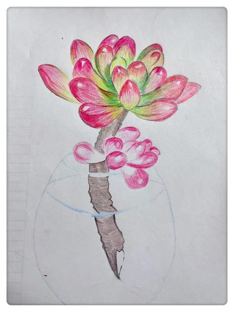 彩铅简笔画大全20张 几塔之家