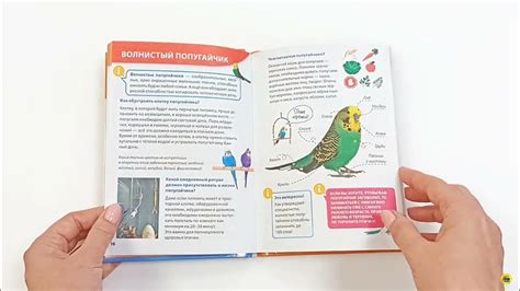 ЭНЦИКЛОПЕДИЯ ДЛЯ МАЛЕНЬКИХ ПОЧЕМУЧЕК Домашние питомцы Youtube