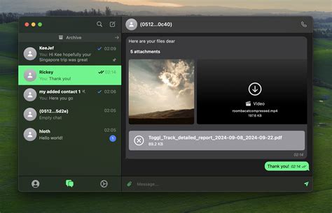GitHub VityaSchel Session Native Native Session Instant Messenger Client For MacOS Written In