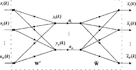 Figure 1 From Fast Principal Component Extraction By A Homogeneous Neural Network Semantic Scholar