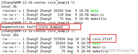 核心转储core dump plc a core dump CSDN博客