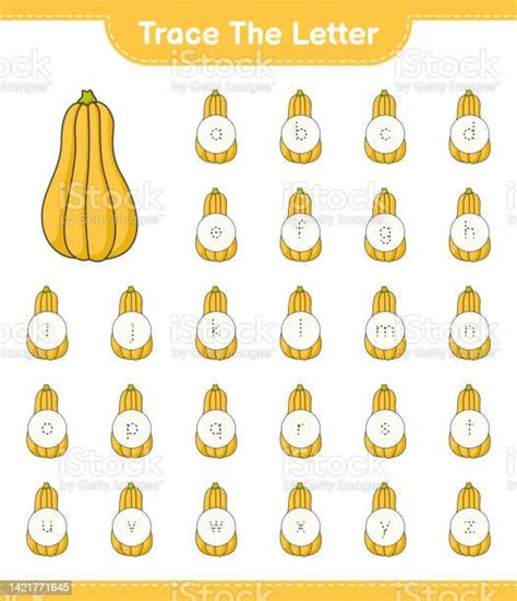 편지를 추적합니다 버터넛 스쿼시와 함께 문자 알파벳 추적 교육 어린이 게임 인쇄 가능한 워크 시트 벡터 일러스트 레이 션 0명에 대한 스톡 벡터 아트 및 기타 이미지