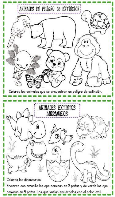 Cuadernito De Animales Animales En Peligro De Extincion Animales