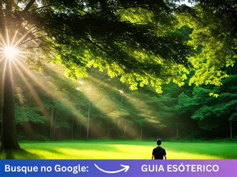 Desvendando A Corrente Do Bem Meire Espírito Santo Revela Os Segredos