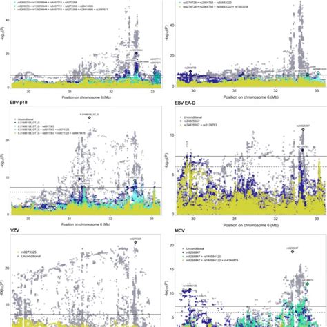 Regional Association Plots For Conditionally Independent Hla Genetic Download Scientific