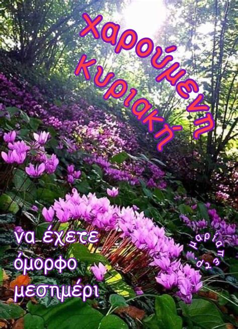 Inspirational Greek Quotes On Purple Flowers