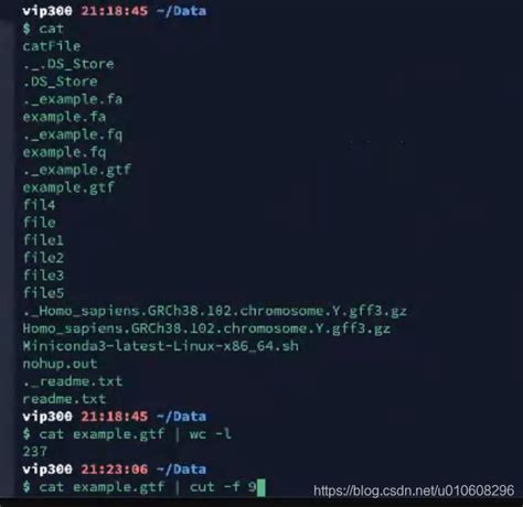 Linux系统介绍 文本查看、操作、统计命令（headtail Cattac Lessmore • Wc Sort Uniq • Cut