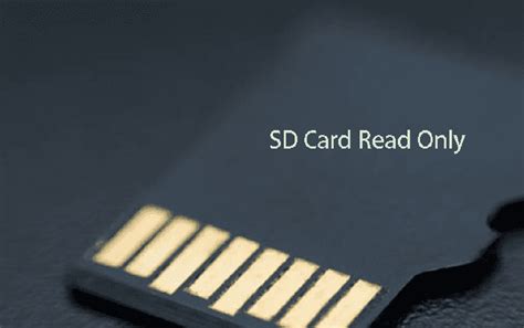 Why Is My SD Card Read Only Robots Net