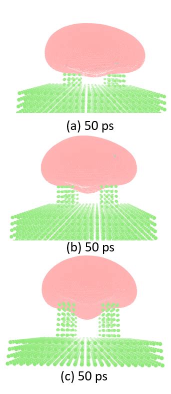 Simulation Of Bacteria Cell By Varying Nanopillars Height From 100 Nm Download Scientific