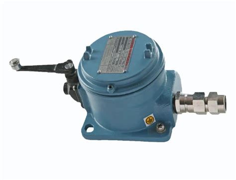 Roller Limit Switch Adjustable Roller Limit Switch Manufacturer From Bengaluru