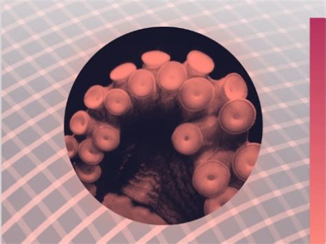 Waratek Cyber Security Brand Development Website Design Bluetext