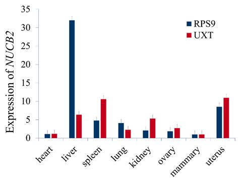 Genes Free Full Text Single Nucleotide Polymorphisms Of NUCB2 And