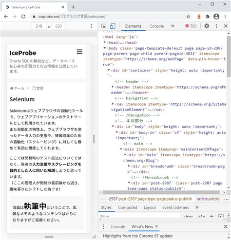 Xpathの調べ方 Chrome編 Seleniumvba Iceprobe