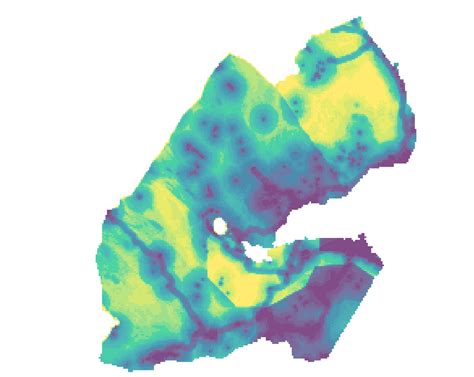 Create Your Own Color Palette Function In R By Yi Ning Wong Dev Genius