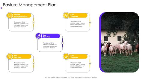 Pasture Management Plan Ppt Powerpoint Cpp PPT Example