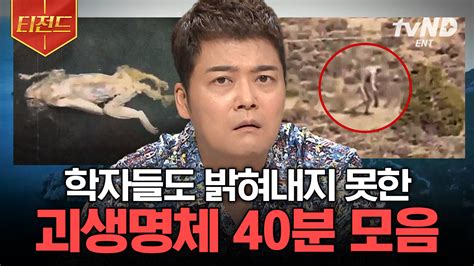 쥐 도마뱀 인간의 특징이 합쳐진 괴생명체 😨 지구 곳곳에서 발견된 정체를 알 수 없는 생명체 모음🌌 프리한19 티전드